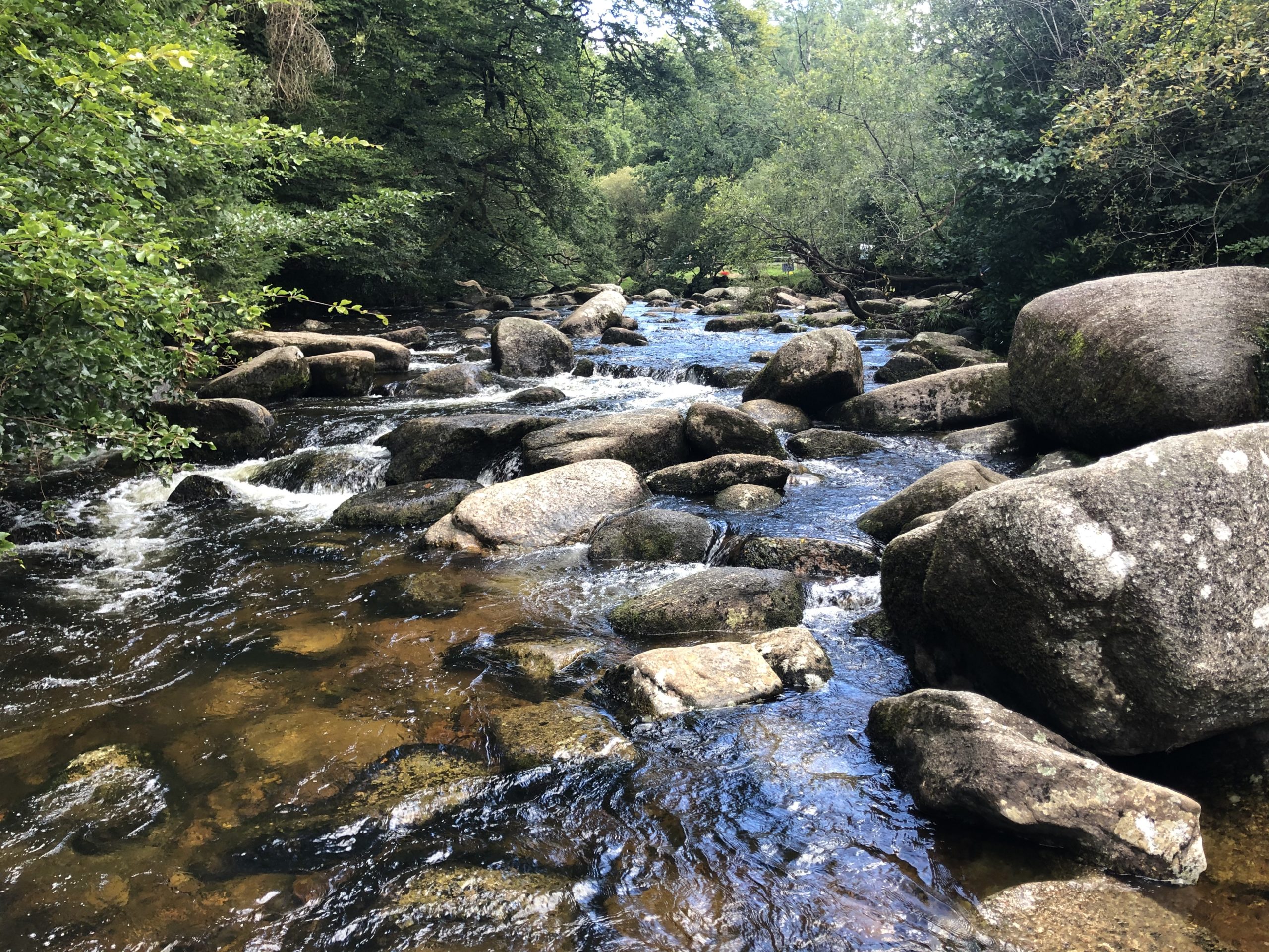 Hydrology and hydrogeology services | Thomson Environmental Consultants