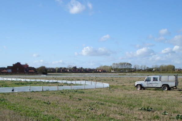 Great Crested Newt Surveys | Thomson Environmental Consultants