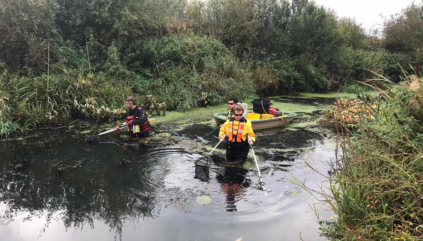 Freshwater surveys and monitoring | Thomson Environmental Consultants