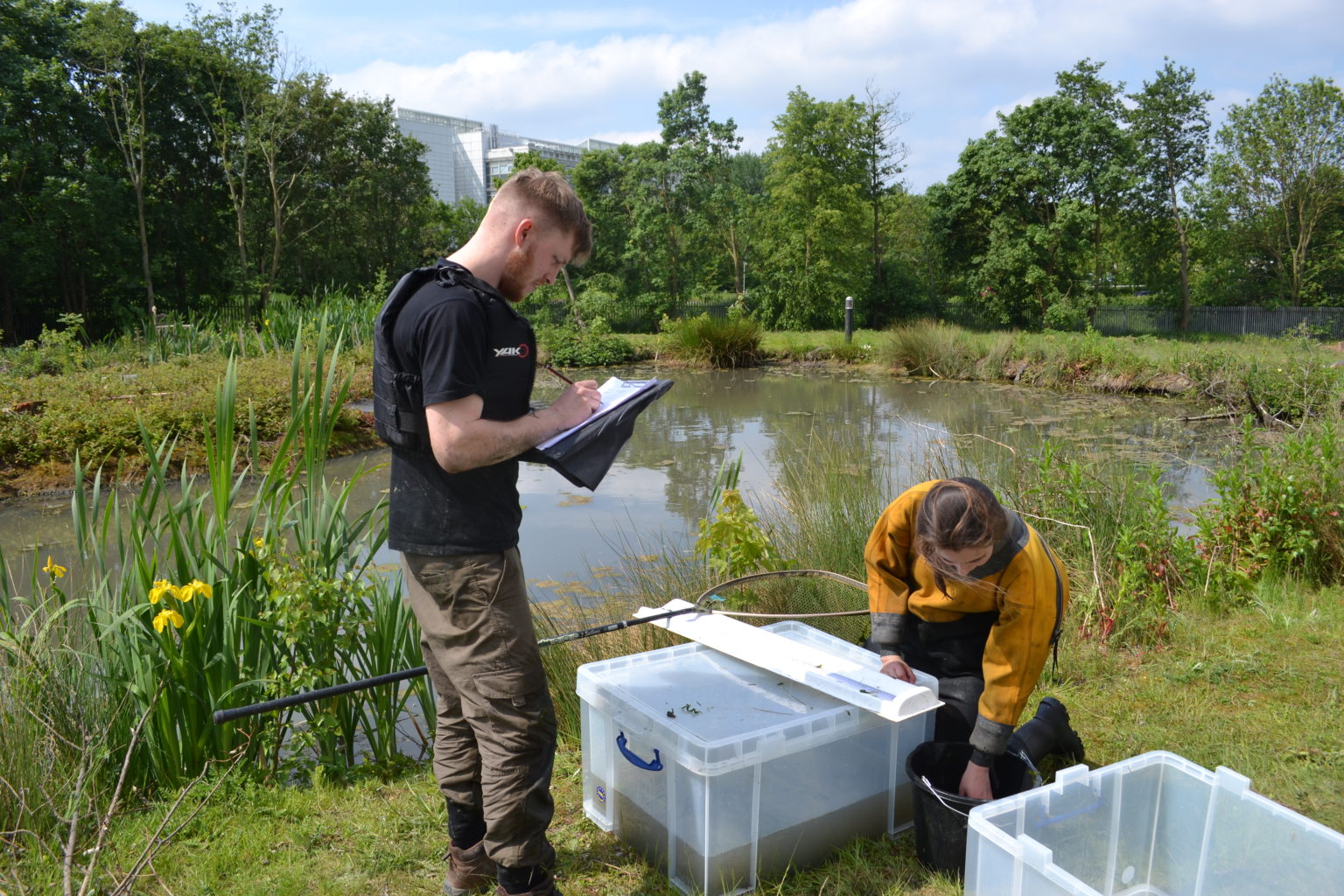 Freshwater Impact Assessment Services | Thomson EC