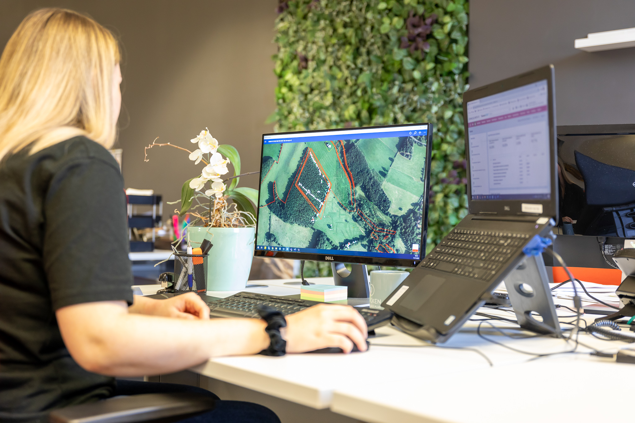 GIS and mapping | Thomson Environmental Consultants