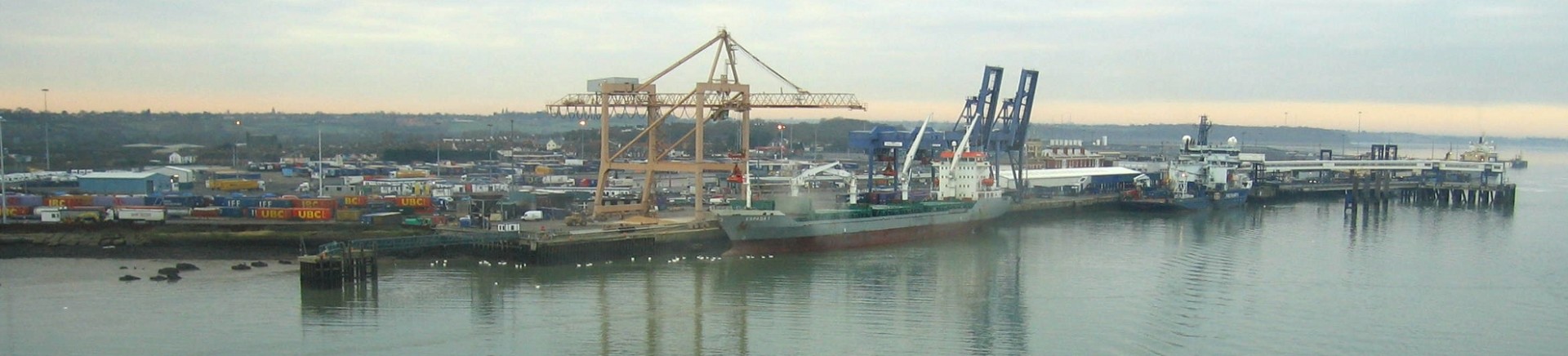 Thomson Ecology Projects: Environmental Impact Assessment, Port of Harwich