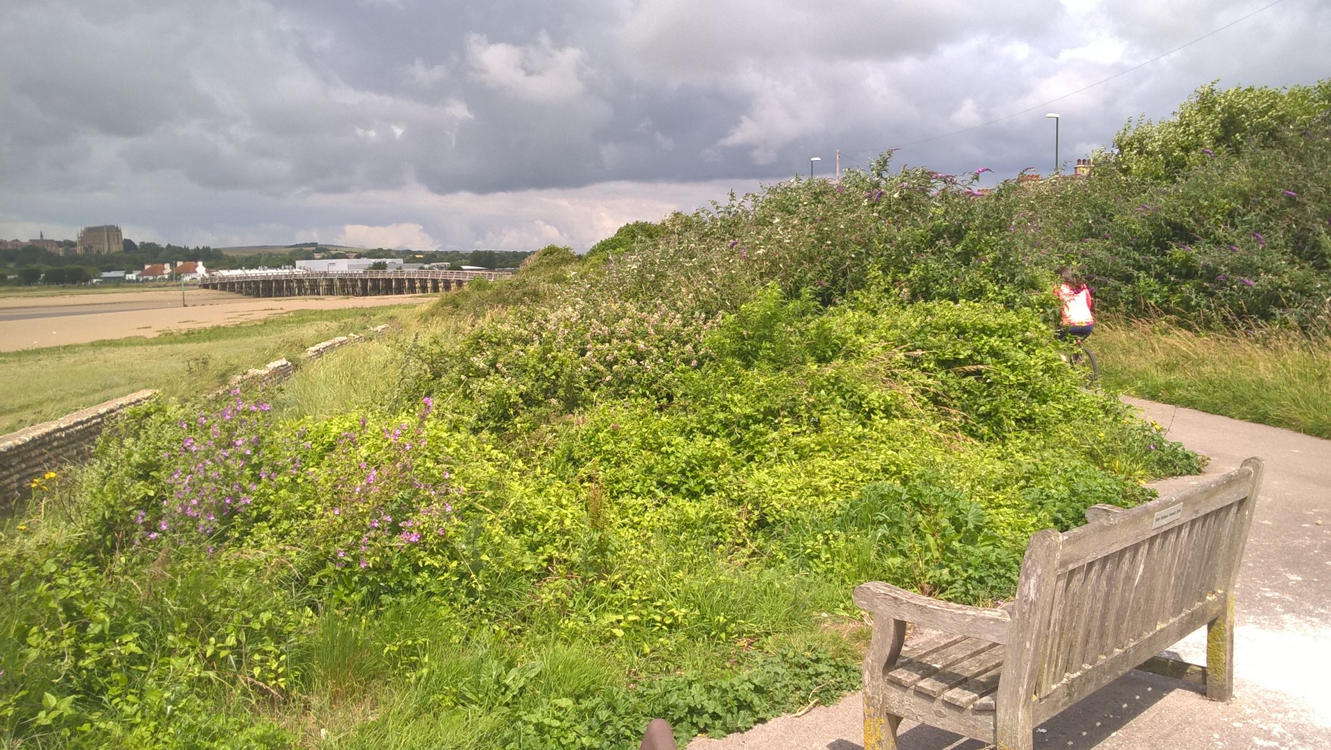 Thomson Habitats continue their work at Shoreham Adur Tidal Walls scheme