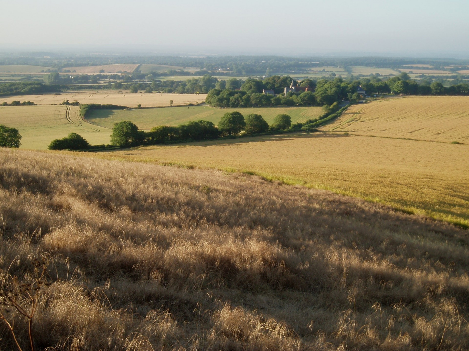 Can development ever be good for nature?
