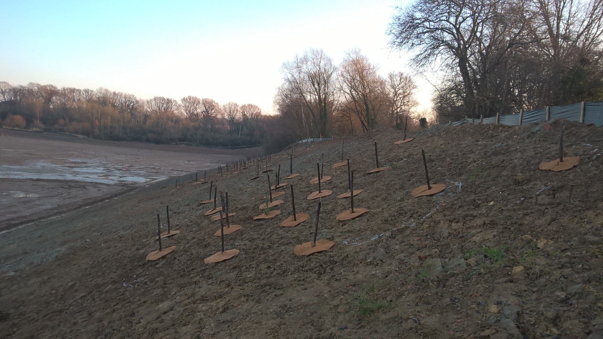 Winter planting tips and recommendations