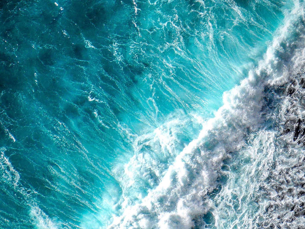 Surviving in extreme marine environments - Thomson Environmental ...