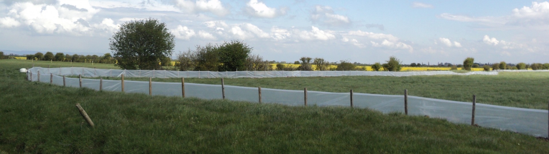 Great crested newt fencing | Thomson Environmental Consultants