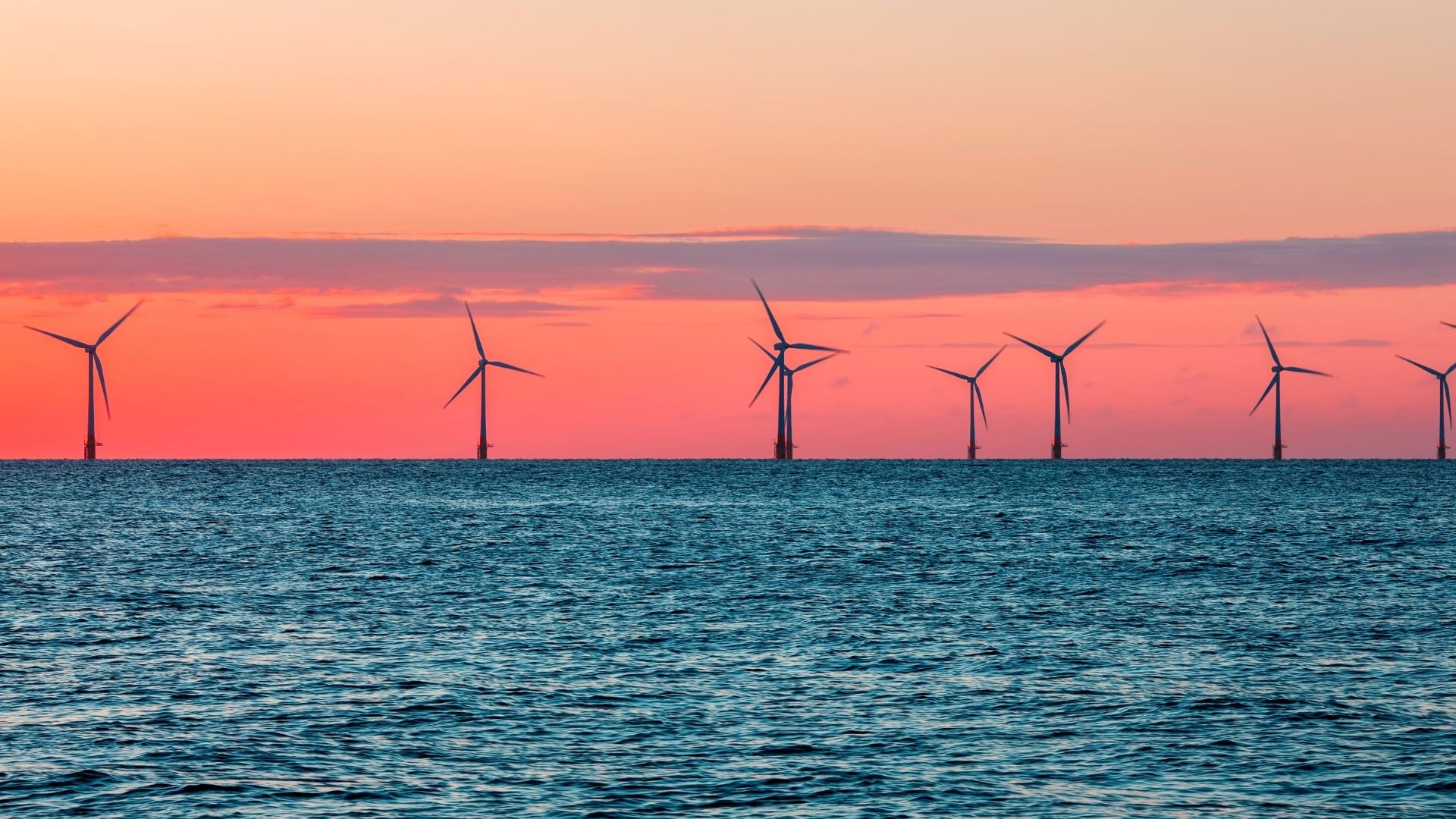 Offshore wind decommissioning - Thomson Environmental Consultants