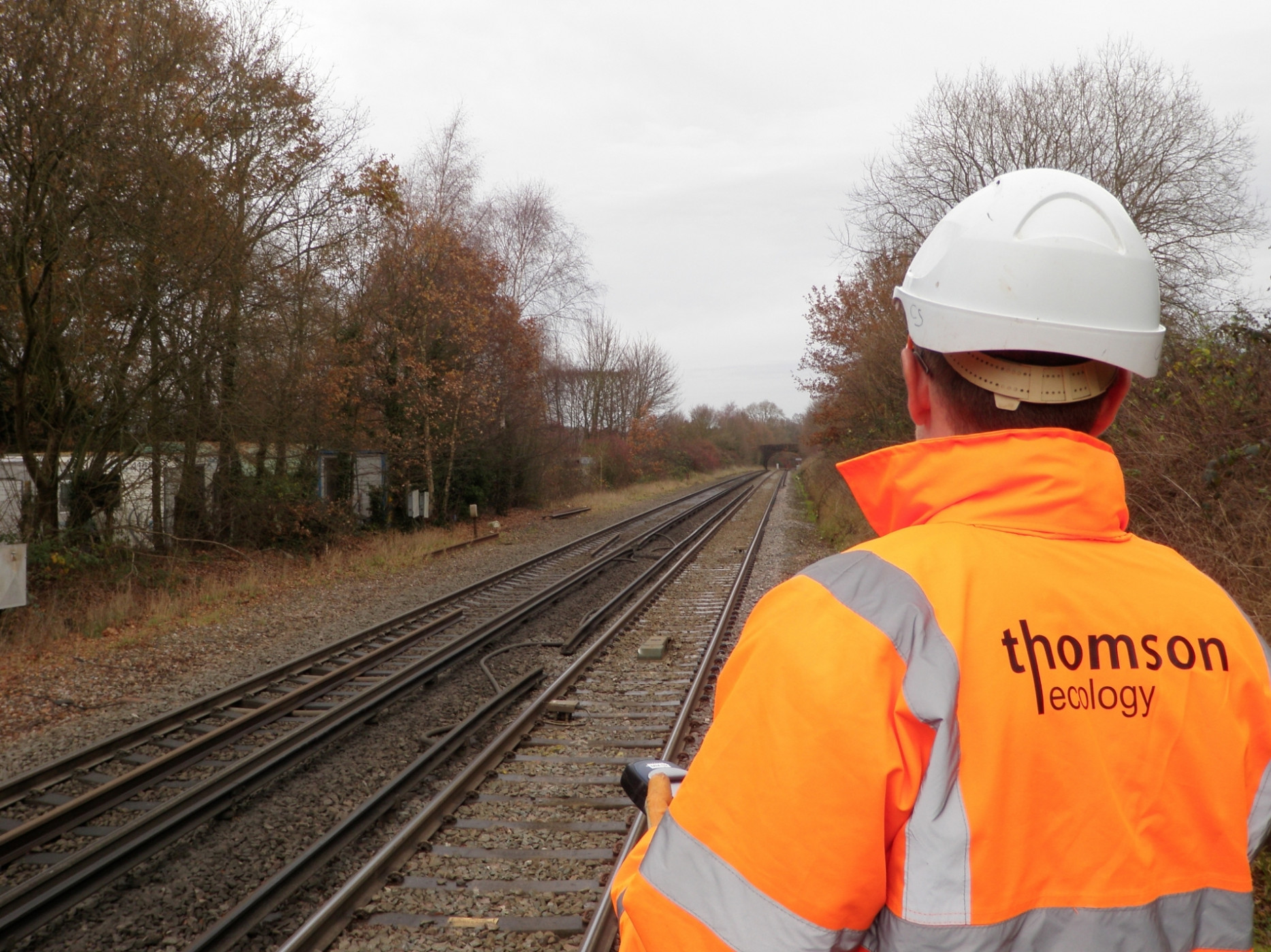 Thomson providing Network Rail with ecological training