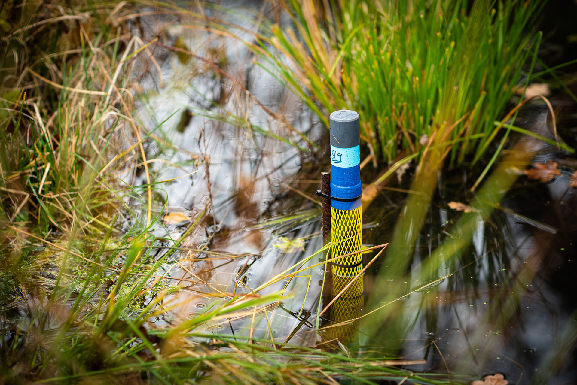 Wetland hydrological monitoring explained - Thomson Environmental ...