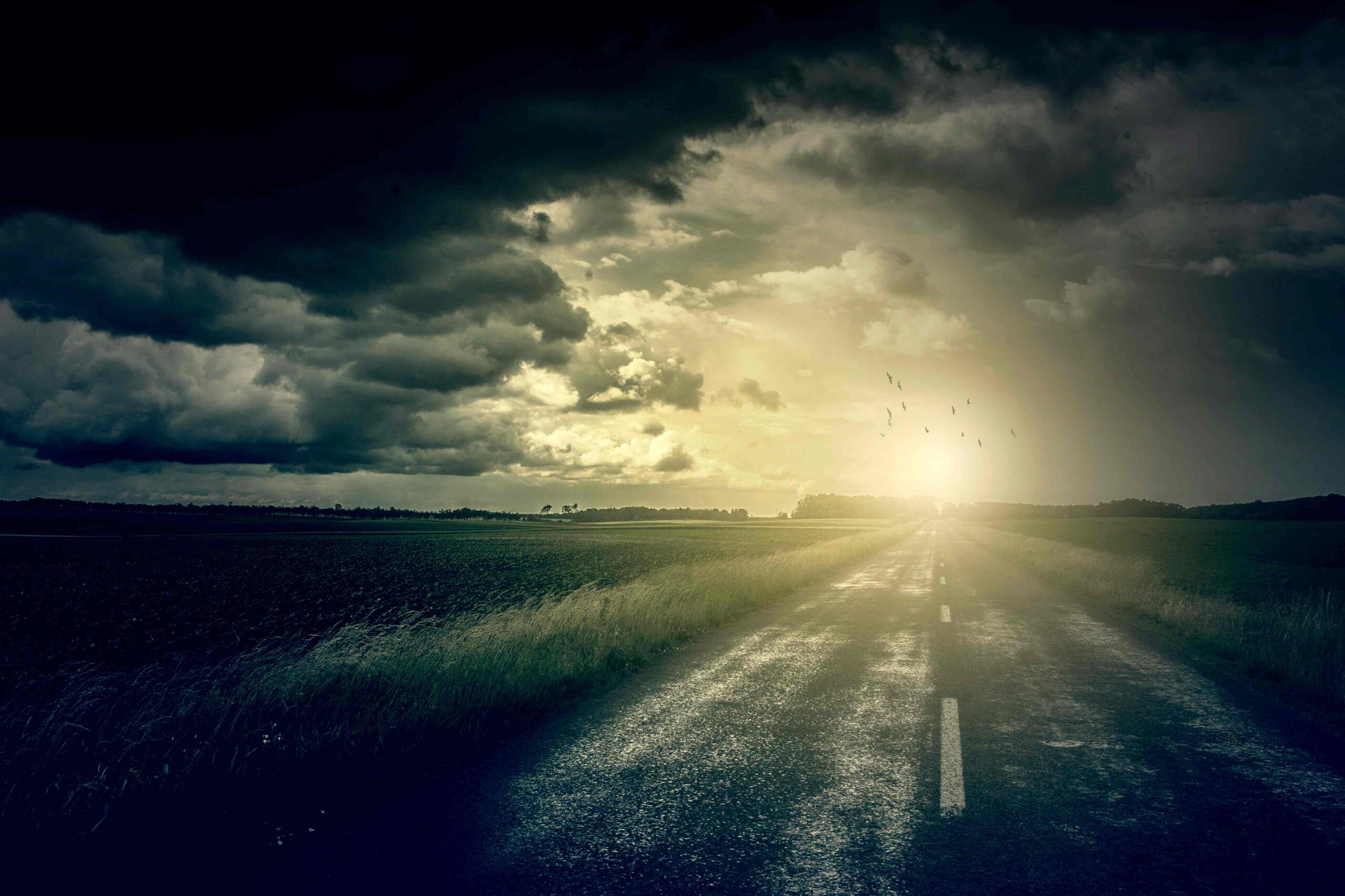 Ecological Consultancy Technical Support for Major Highway Dualling ...