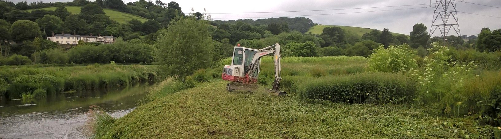 Thomson Habitats - Himalayan balsam, Exeter Flood Defence Scheme