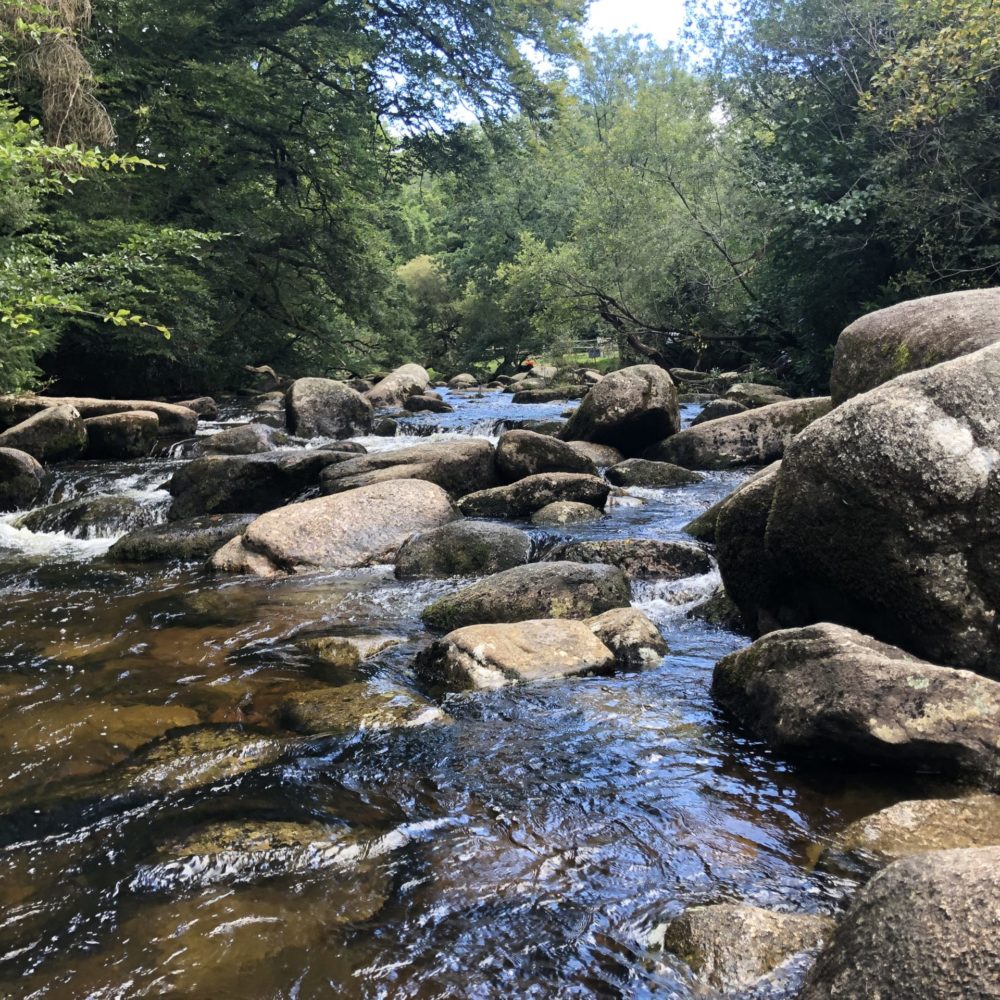 Wildlife Fencing, Trapping & Translocation Services | Thomson EC