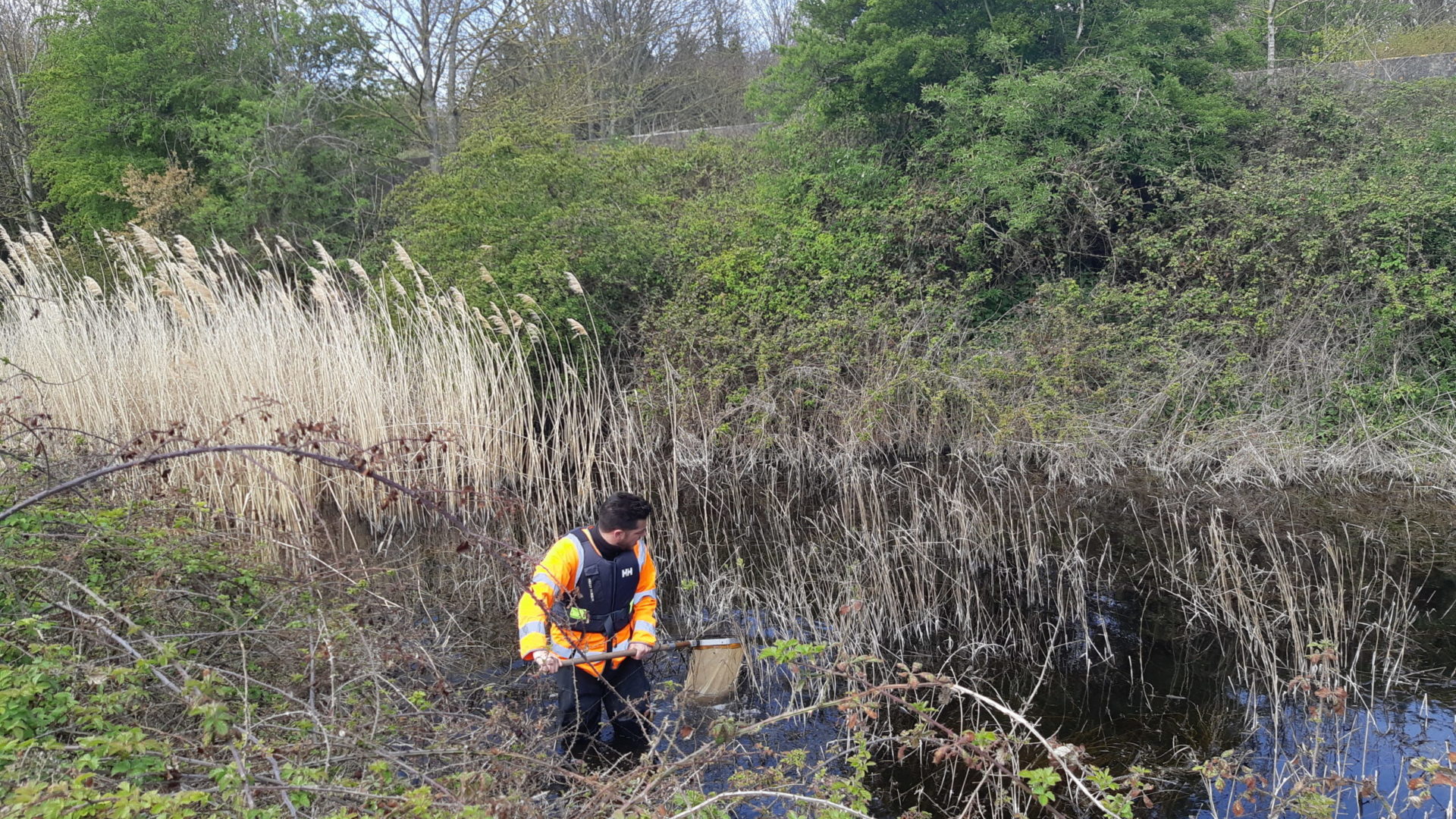 Act for rivers to safeguard biodiversity - Thomson Environmental ...