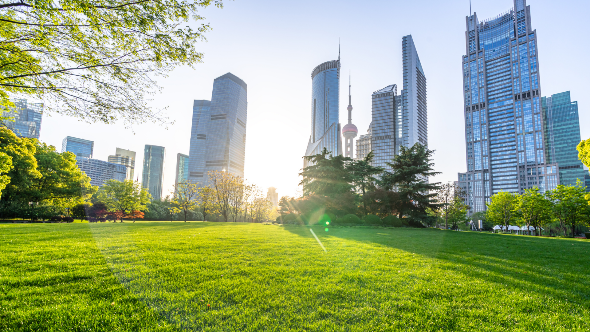 Biodiversity Net Gain (BNG) – Government update - Thomson Environmental ...