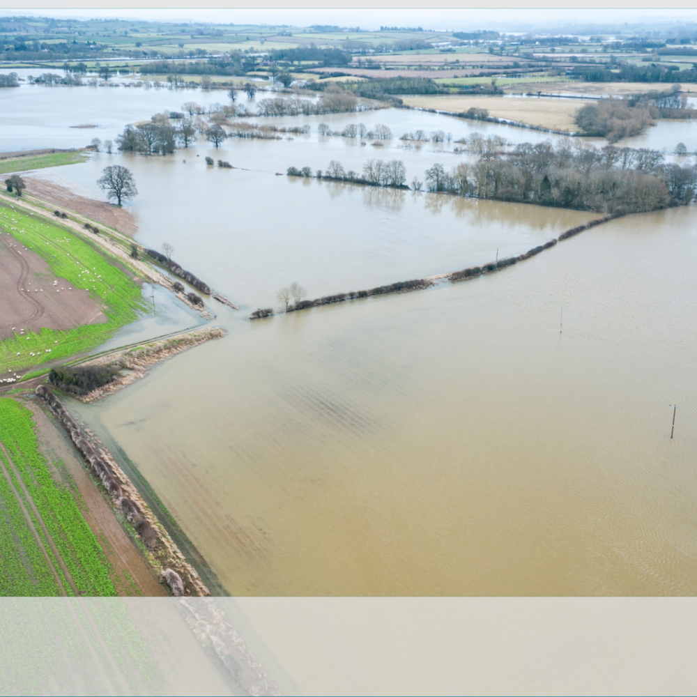 Considerations for a successful Flood Risk Activity Permit application