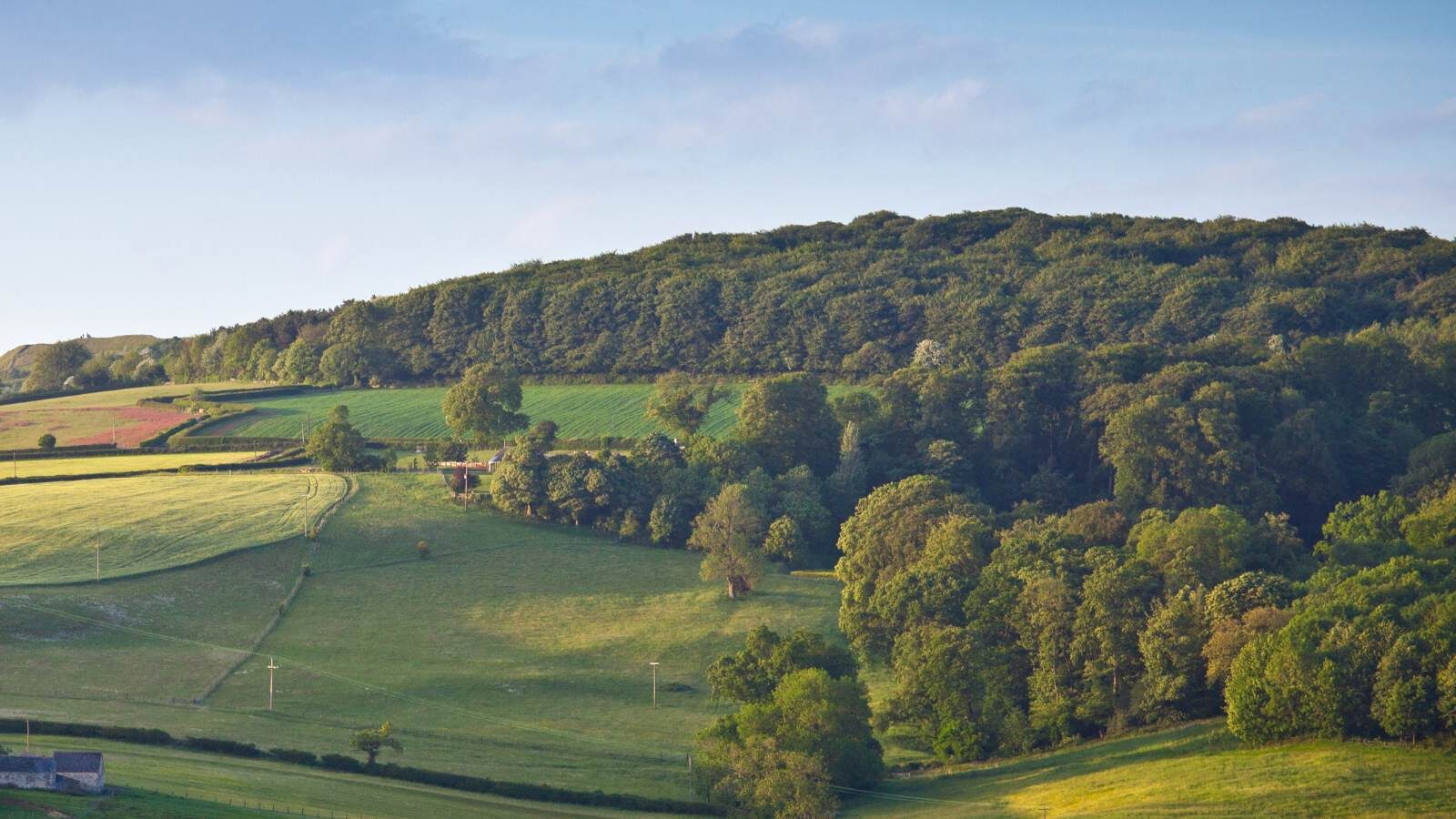 Biodiversity Net Gain (BNG) – Government update - Thomson Environmental ...